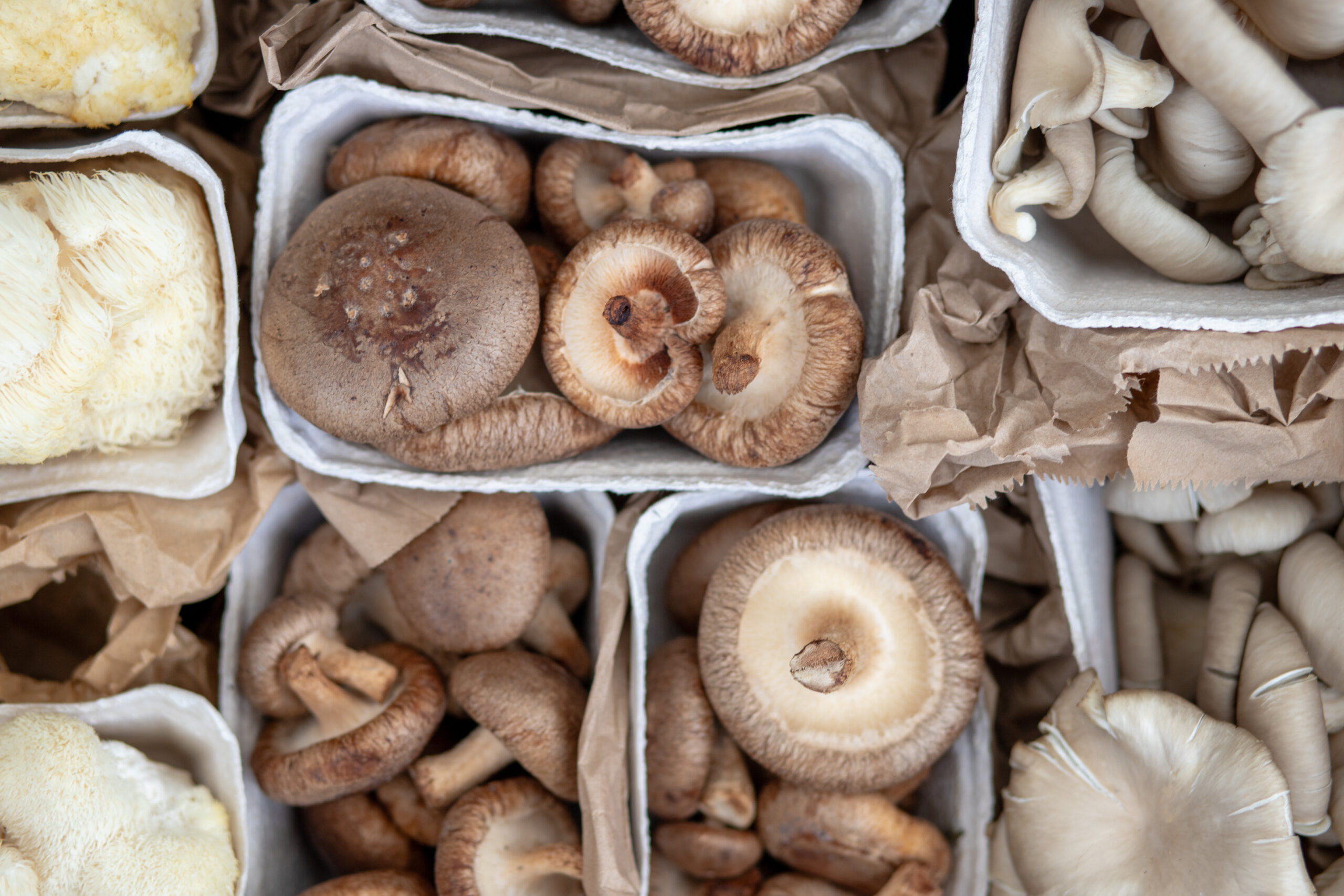 discoverymarket.co.uk